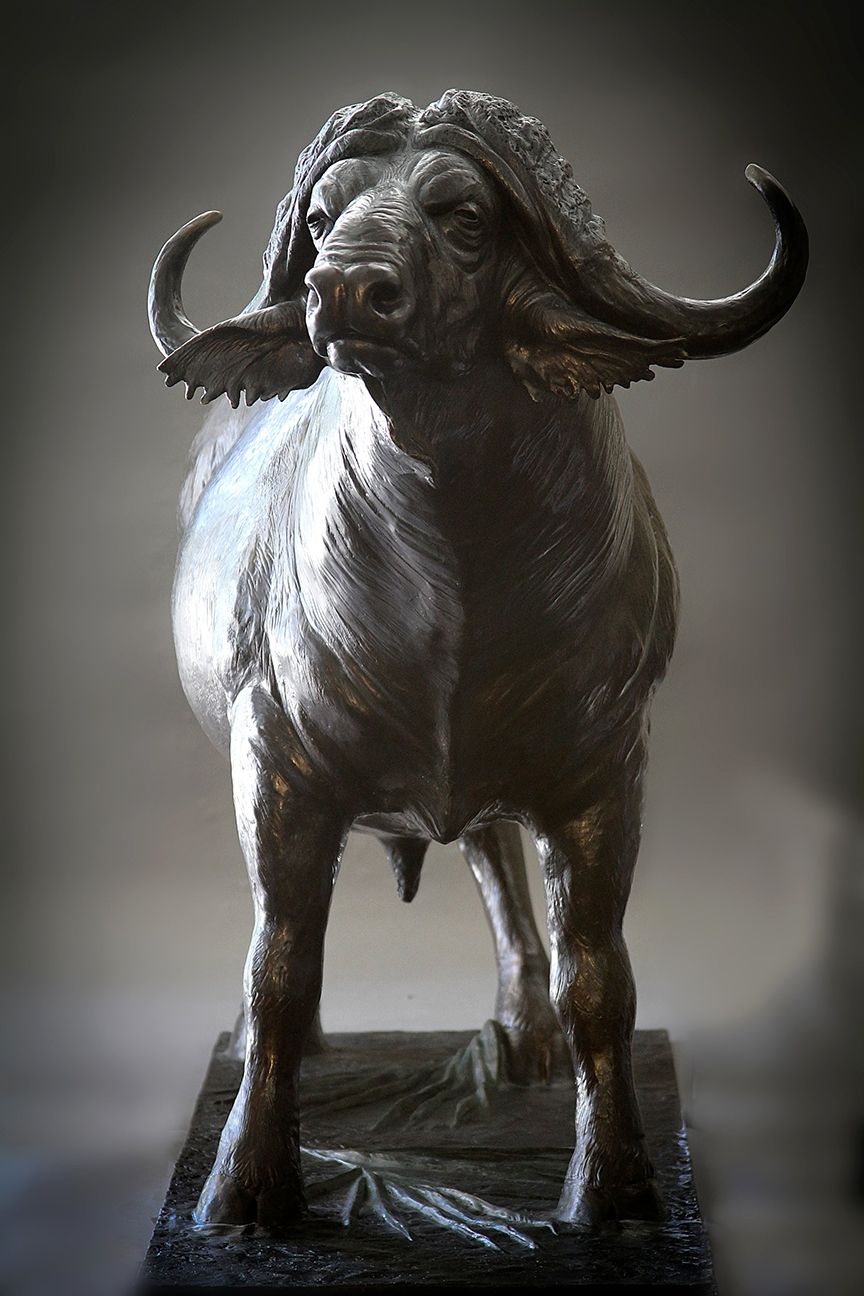 Dagga Boy - Cape Buffalo - Bronze Sculpture - Ronnie Wells | Sporting ...